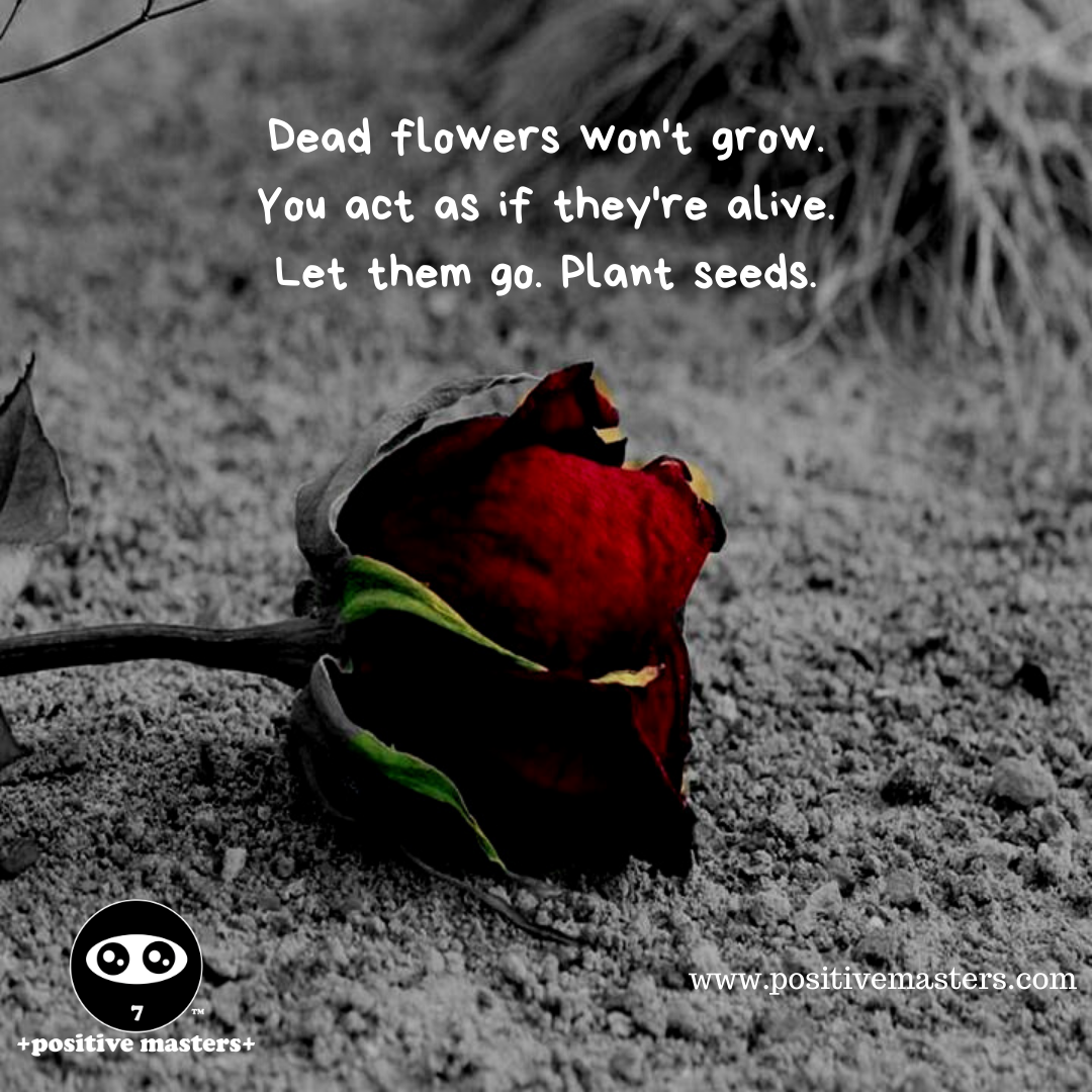 Dead flowers won't grow.⁠ – Positive Masters